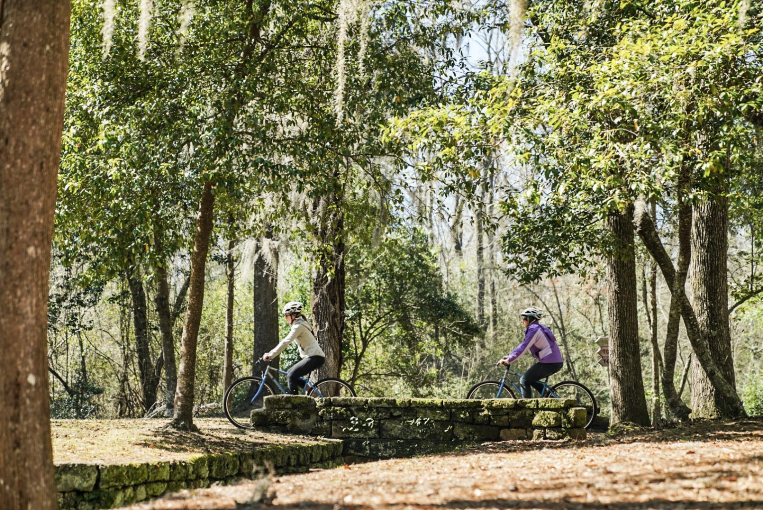 Introducing Bicycle Across South Carolina! - Bicycle Across South Carolina
